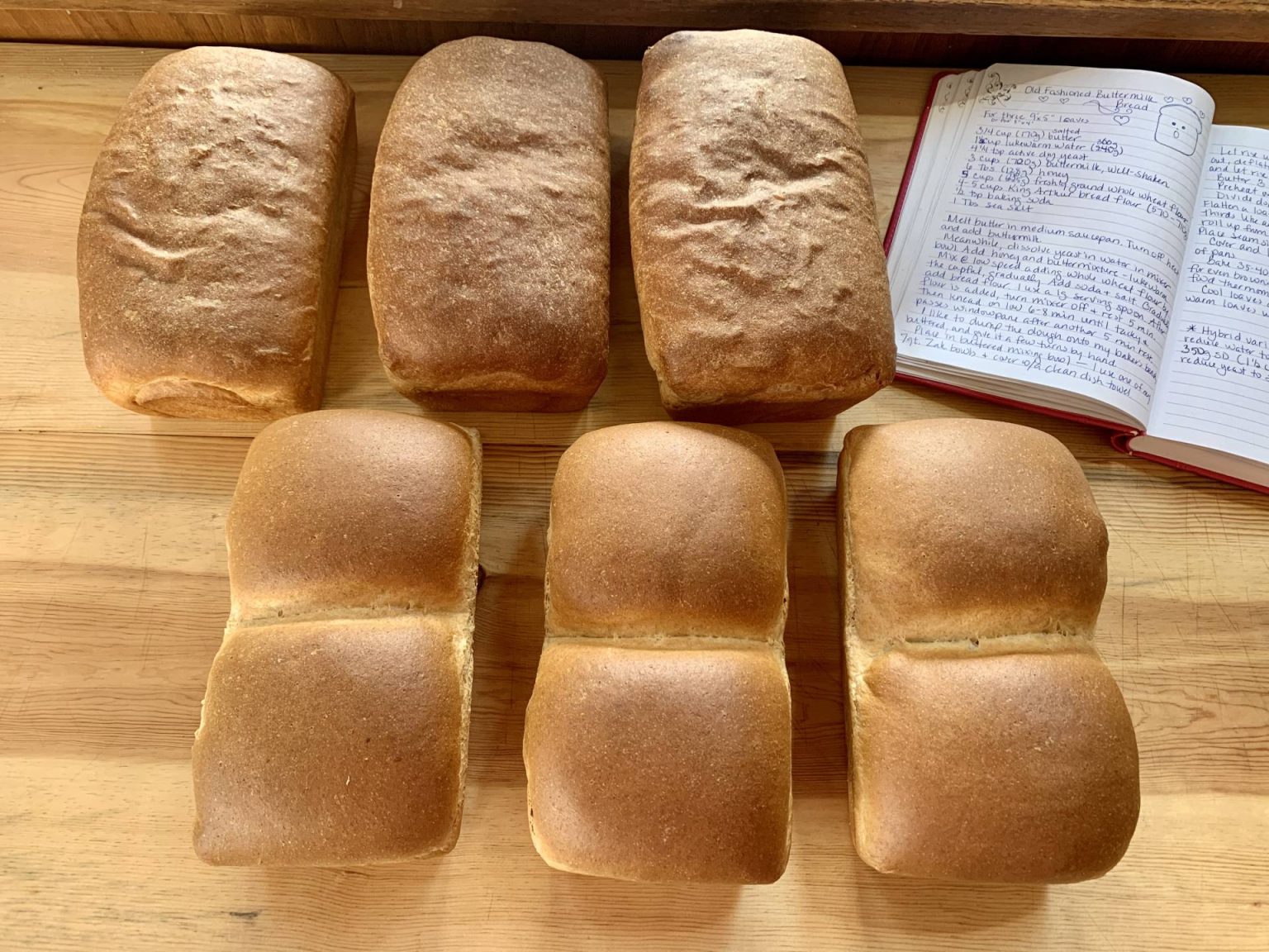 Bulk Baking: How to Freeze and Thaw Homemade Bread and Rolls for Best ...