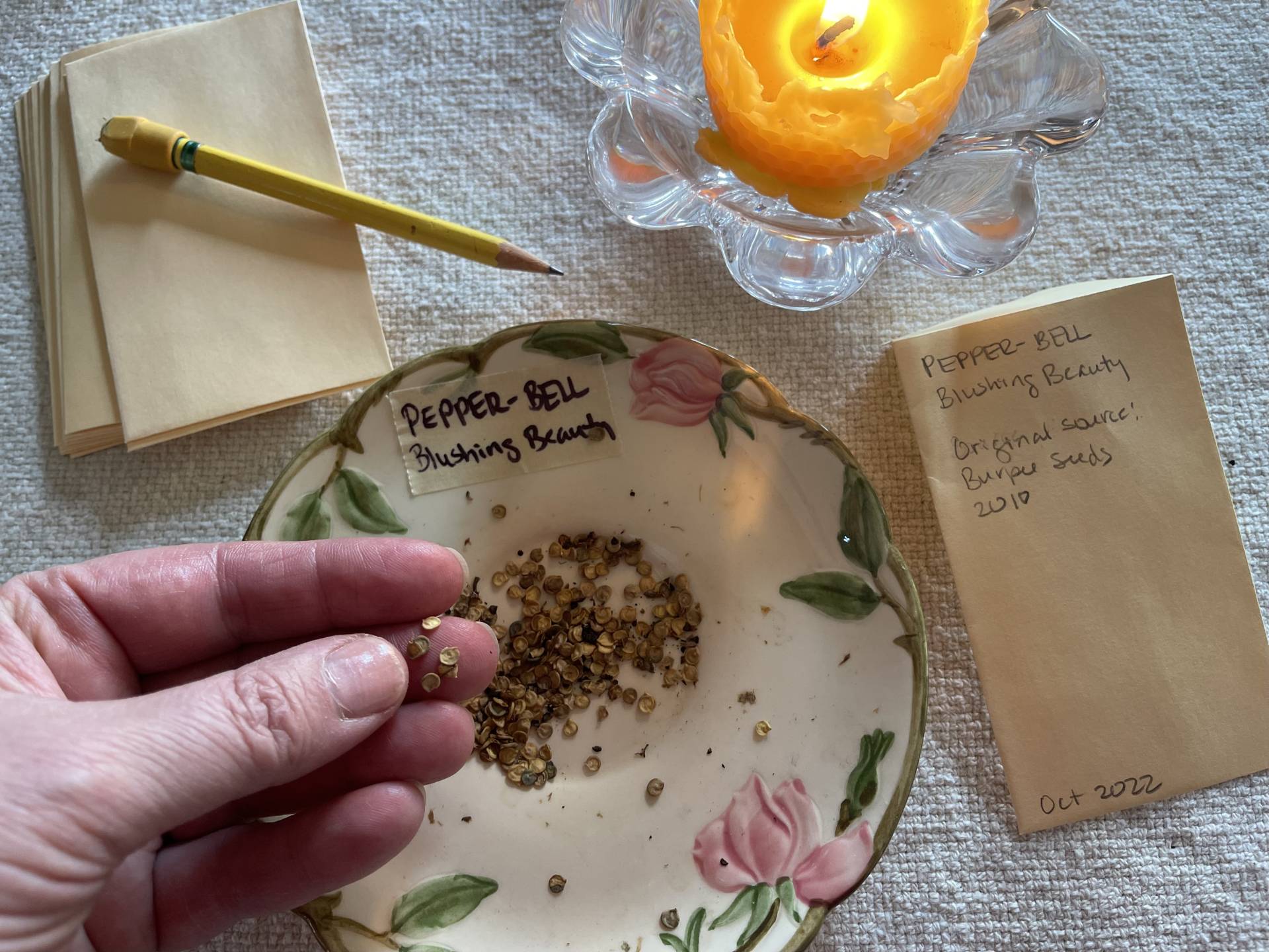Grow an Endless Garden | Start Saving Seeds Today • Chocolate Box Cottage
