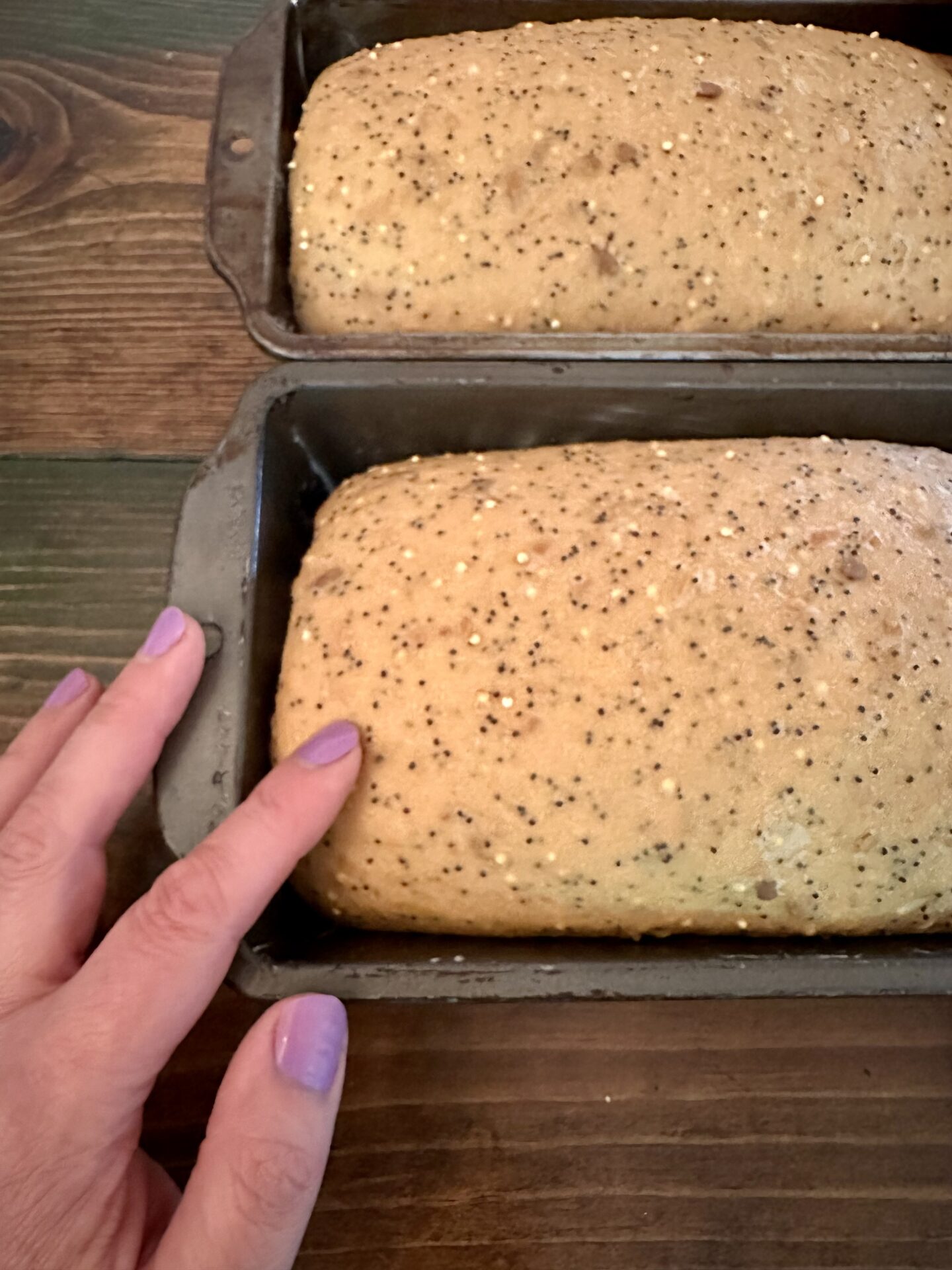 Unlocking the Secret to the BEST Toast and Sandwiches | Polka Dot Bread • Chocolate Box Cottage